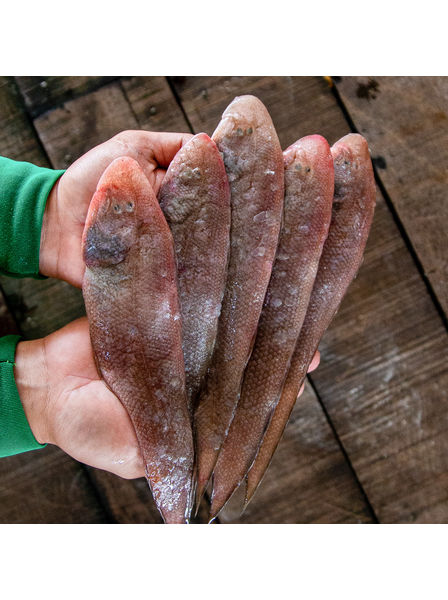 YS Seafood 渔乡鲜货 · 直送到府 - YS Seafood 渔乡鲜货 · 直送到府